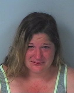 DANIELLE BAUMSTARK, Arrest Mugshots - citruscountybusted.com