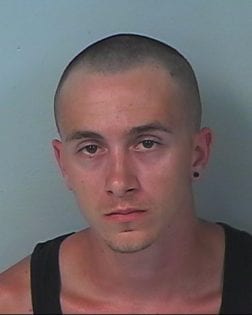 JOHN THOMAS STOUT, Arrest Mugshots - citruscountybusted.com