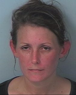 MELISSA G PURVIS, Arrest Mugshots - citruscountybusted.com
