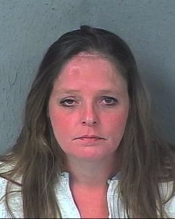 DEIDRE SUZANNE WEBSTER - citruscountybusted.com