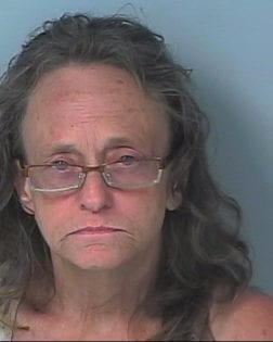 PATRICIA DIANE TIDWELL, Arrest Mugshots - citruscountybusted.com