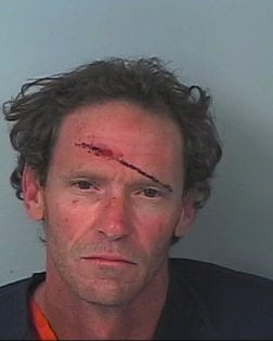CHARLES DANIEL AARON - citruscountybusted.com
