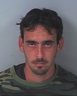 JOEL MICHAEL METIVIER - citruscountybusted.com
