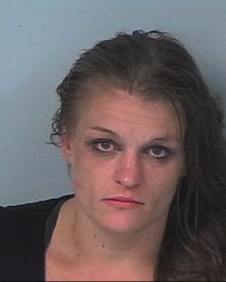 MICHELLE ELIZABETH BURRELL - citruscountybusted.com