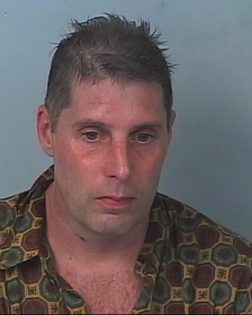 BRIAN SCOTT WENER - citruscountybusted.com