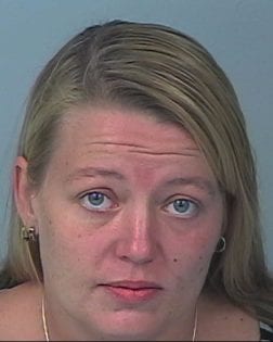 CRYSTAL MAE HOVIS - citruscountybusted.com