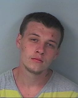 TRAVIS BRAXTON HOMAN - citruscountybusted.com