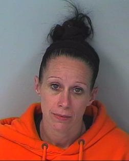 BIANCA MARIE WOLFE - citruscountybusted.com