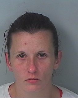 LYDIA ANN MERCADO - citruscountybusted.com