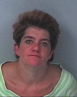 VIRGINIA LYNN STOREY - citruscountybusted.com
