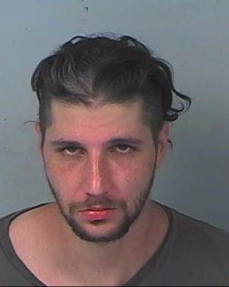 RICHARD JOSEPH SIEBER - citruscountybusted.com