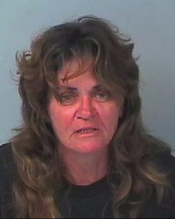 TAMMY LYNETTE PATTERSON - citruscountybusted.com
