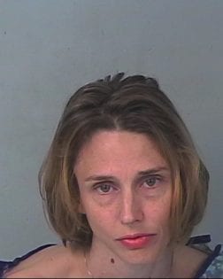 ALLISON NICOLE PROCTOR - citruscountybusted.com