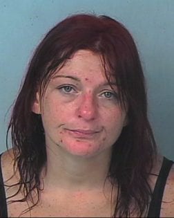 RACHEL ELIZABETH HICKS - citruscountybusted.com