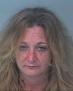SUSAN MARIE COLWELL - citruscountybusted.com