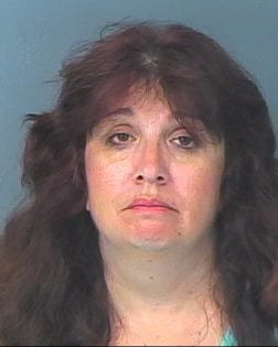 DENISE A SINGER - citruscountybusted.com