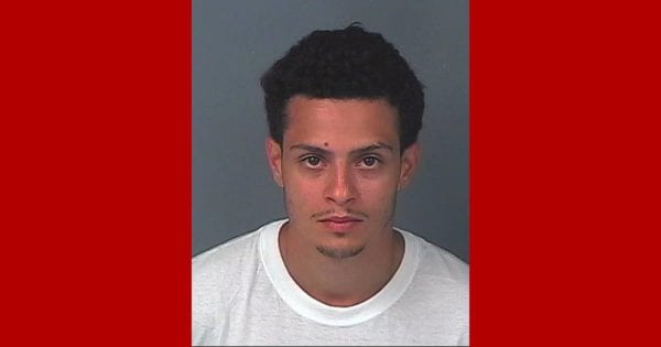EMILE Jr HAKIME - citruscountybusted.com