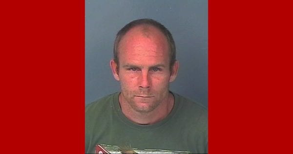 JAMES MARK DINGMAN - citruscountybusted.com