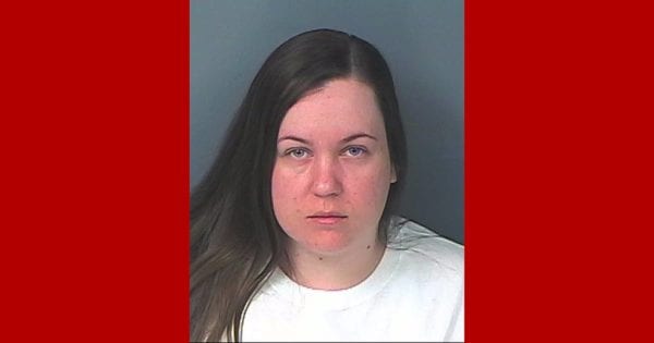 LYDIA NICOLE GARTNER - citruscountybusted.com