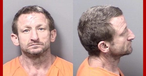 DAVID ALLEN EVERETT - citruscountybusted.com