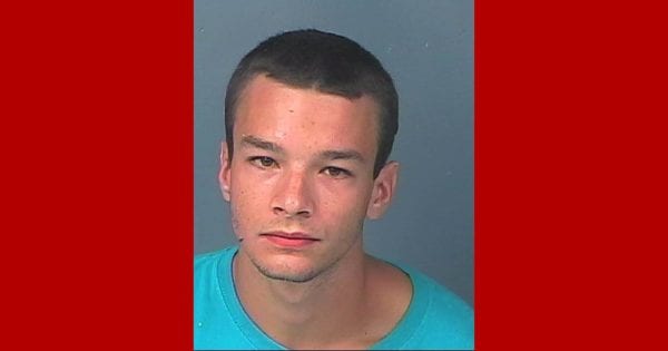 GAGE NELSON MAYNARD - citruscountybusted.com