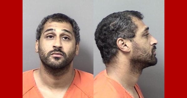 MANDISHA HALL - citruscountybusted.com