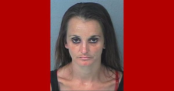 MICHELLE ANN SPANGLER - citruscountybusted.com