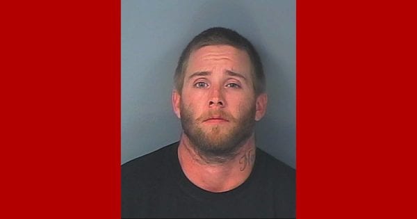STEPHEN ARTHUR COLWELL - citruscountybusted.com