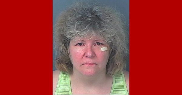 SUZY LOUISE MARTIN - citruscountybusted.com