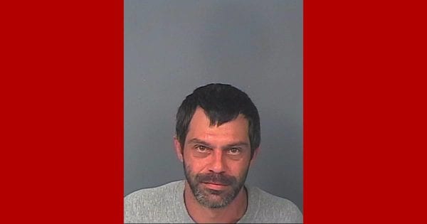 THOMAS ANTHONY INZANA - citruscountybusted.com