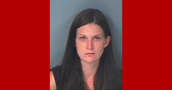 CRYSTAL LYNN DAVIS - citruscountybusted.com