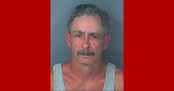 DAVID WAYNE PETTRY - citruscountybusted.com