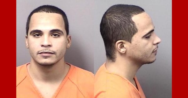EDWIN IRIZARRY - citruscountybusted.com
