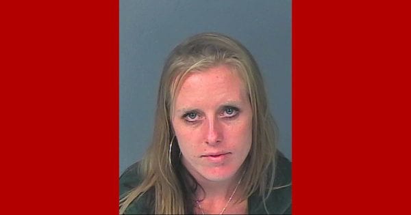 KELLY ANN THOMPSON - citruscountybusted.com