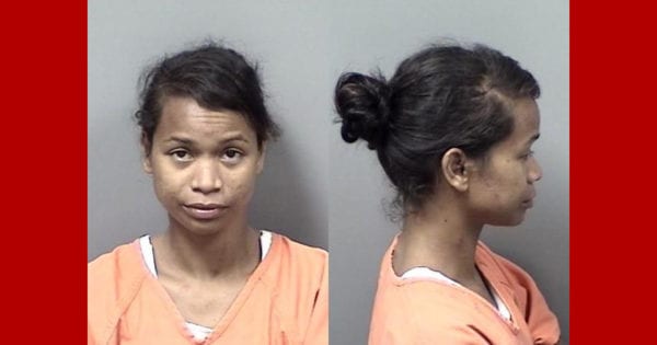 KIMBERLY ANNE ERICSON - citruscountybusted.com
