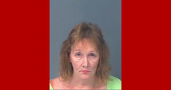 LYNN ANN BARBEE-REYNOLDS - citruscountybusted.com