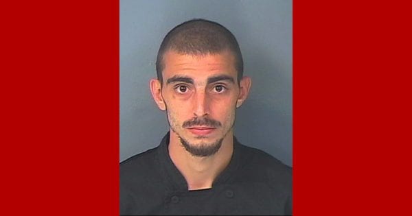 PAUL JAMES LEPLEY - citruscountybusted.com