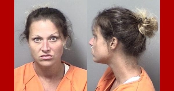 TIFFANY LYNN MORGAN - citruscountybusted.com