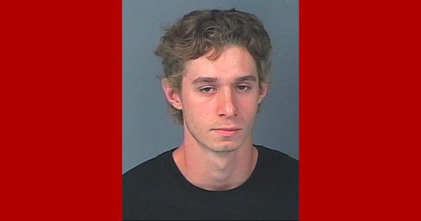 TYLER MICHAEL RAY - citruscountybusted.com
