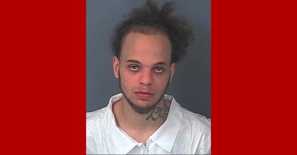 BRANDON COREY JOHNSON - citruscountybusted.com
