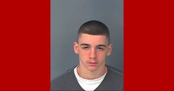 BRIAN DAVID TROUT - citruscountybusted.com