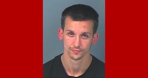 BRIAN JOHN NILES - citruscountybusted.com