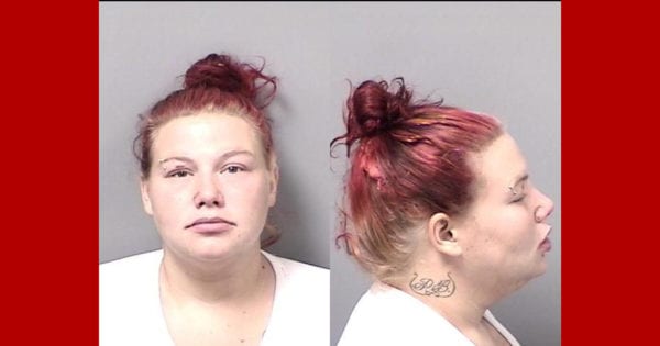 JAIMEE ADDISON MORTON - citruscountybusted.com