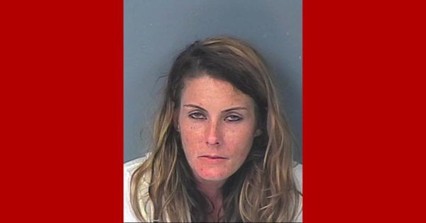 ALICIA MARIE NORECK - citruscountybusted.com