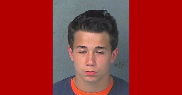 JAMES WILLIAM STOREY - citruscountybusted.com