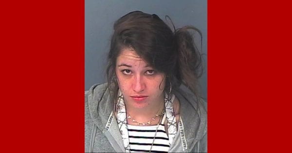 SARAH MARIE MACK - citruscountybusted.com