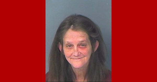 DEBBRA LYNN JORDAN - citruscountybusted.com
