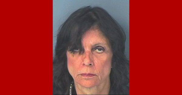 DEBORAH PATRICIA PHILLIPS - citruscountybusted.com