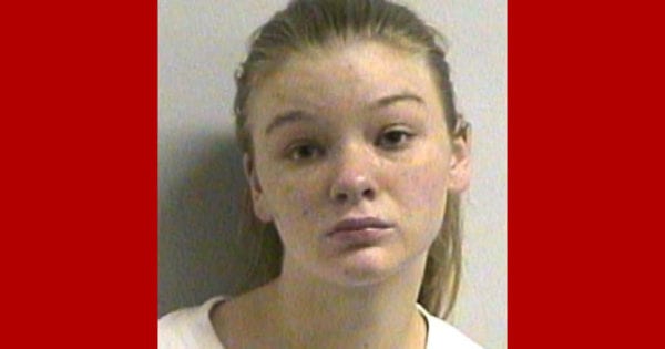 LINDSAY ANNE TOWER - citruscountybusted.com