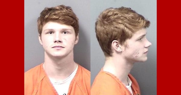 THOMAS SHEFFIELD CRIBBS - citruscountybusted.com